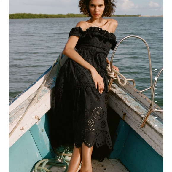 Zara | Dresses | Nwt Zara Embroidered Midi Dress | Poshmark